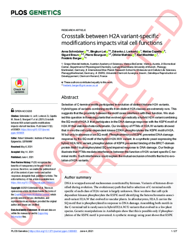 (PDF) Crosstalk between H2A variant-specific modifications impacts ...