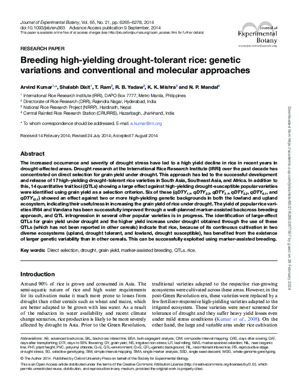 (PDF) Breeding high-yielding drought-tolerant rice: genetic variations ...