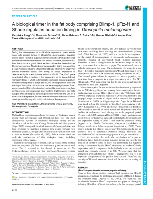 (PDF) A biological timer in the fat body comprising Blimp-1, βFtz-f1 ...
