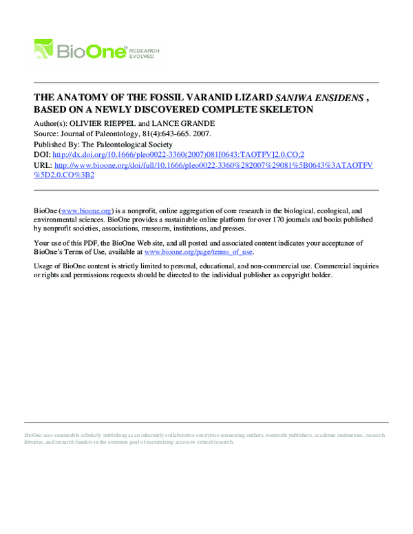 (PDF) The Anatomy of the Fossil Varanid Lizard Saniwa Ensidens Leidy ...