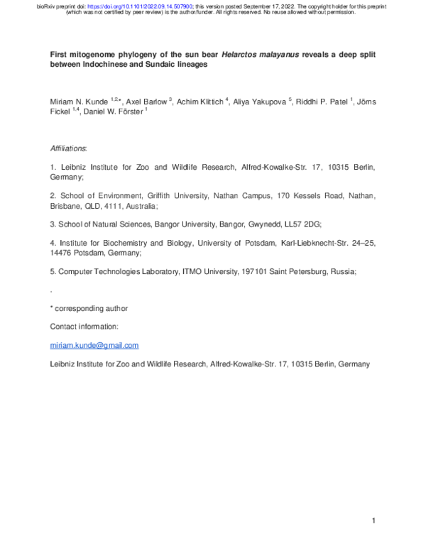 (PDF) First mitogenome phylogeny of the sun bear Helarctos malayanus ...