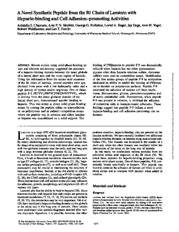 (PDF) A novel synthetic peptide from the B1 chain of laminin with ...