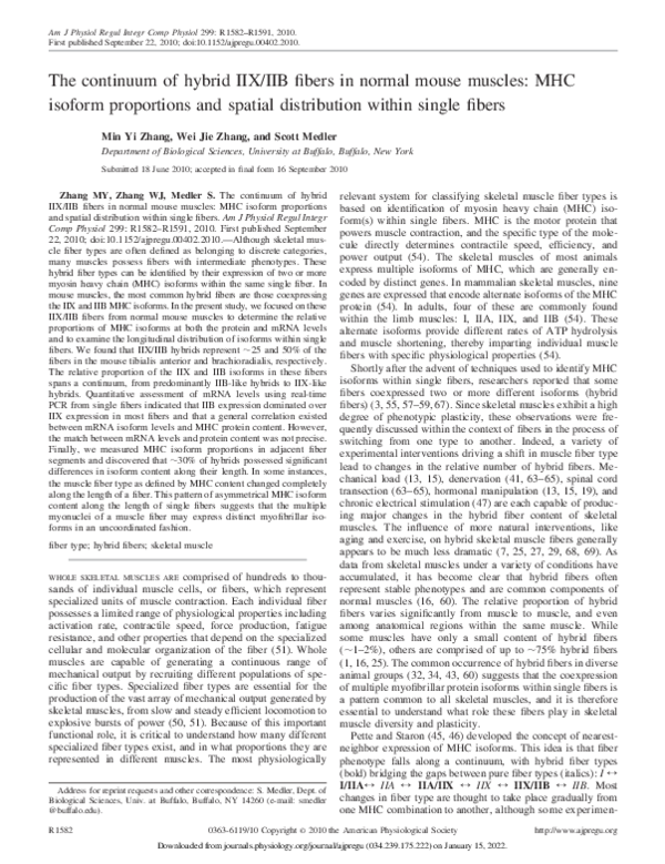 (PDF) The continuum of hybrid IIX/IIB fibers in normal mouse muscles ...