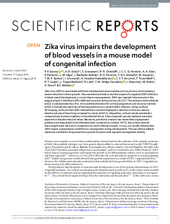 (PDF) Zika virus impairs the development of blood vessels in a mouse ...