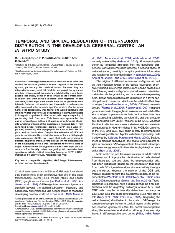 (PDF) Temporal and spatial regulation of interneuron distribution in the developing cerebral ...