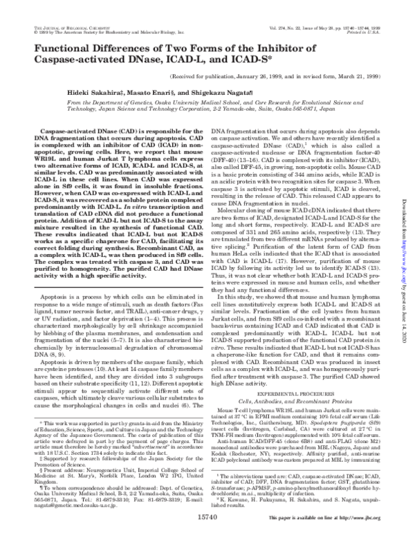 (PDF) Functional Differences of Two Forms of the Inhibitor of Caspase ...