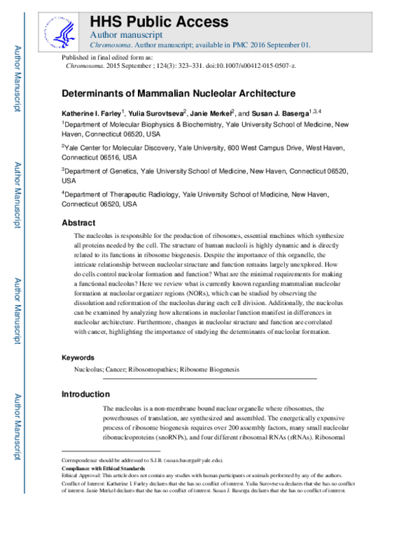 (PDF) Determinants of mammalian nucleolar architecture