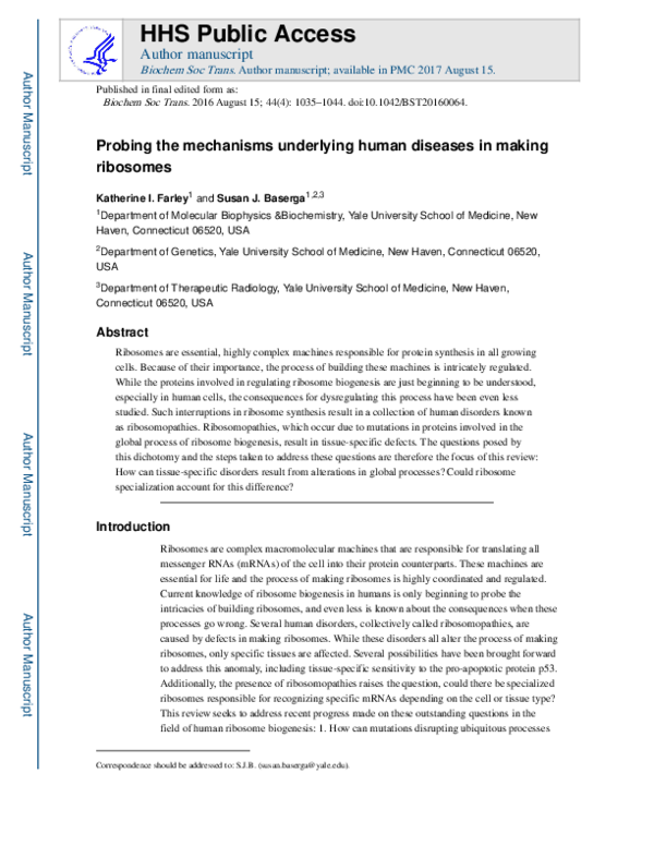 (PDF) Probing the mechanisms underlying human diseases in making ribosomes