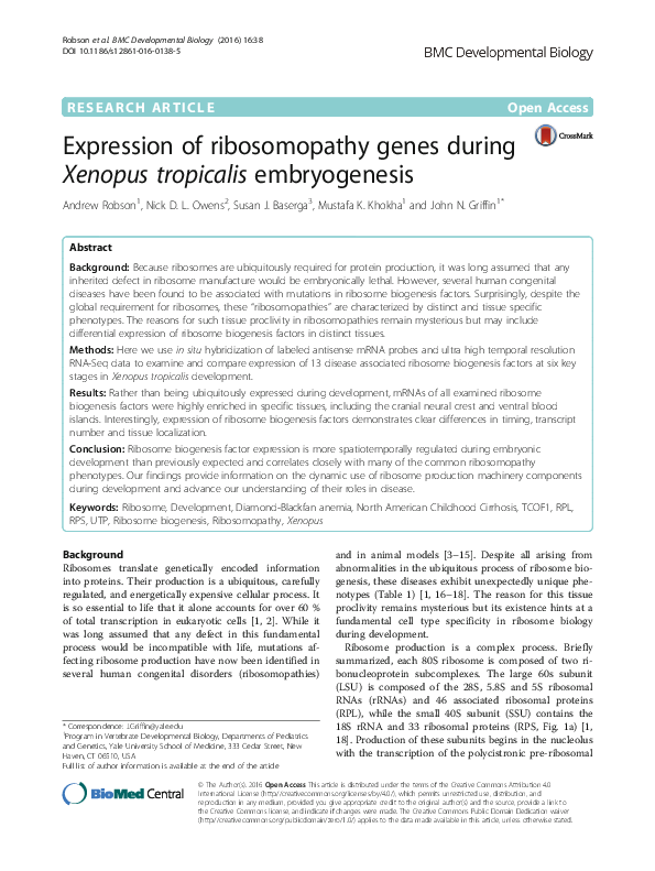 (PDF) Expression of ribosomopathy genes during Xenopus tropicalis ...