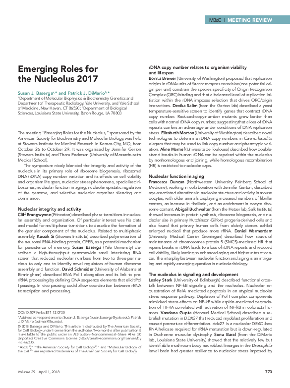 (PDF) Emerging Roles for the Nucleolus 2017