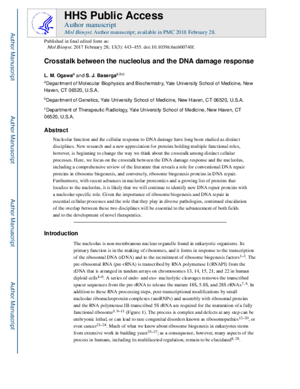 (PDF) Crosstalk between the nucleolus and the DNA damage response