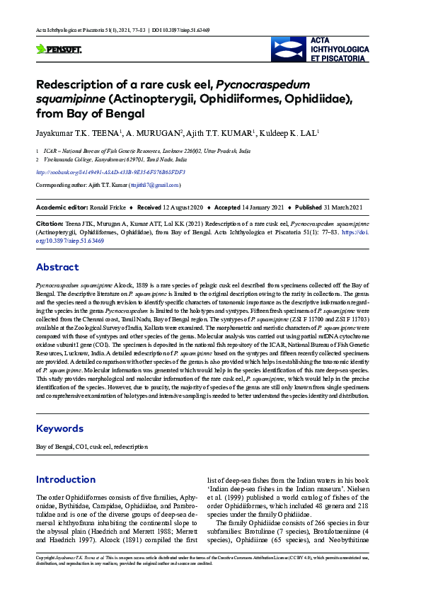 (PDF) Redescription of a rare cusk eel, Pycnocraspedum squamipinne ...