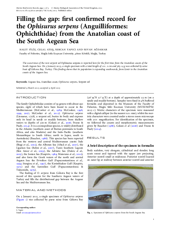 (PDF) Filling the gap: first confirmed record for the Ophisurus serpens ...