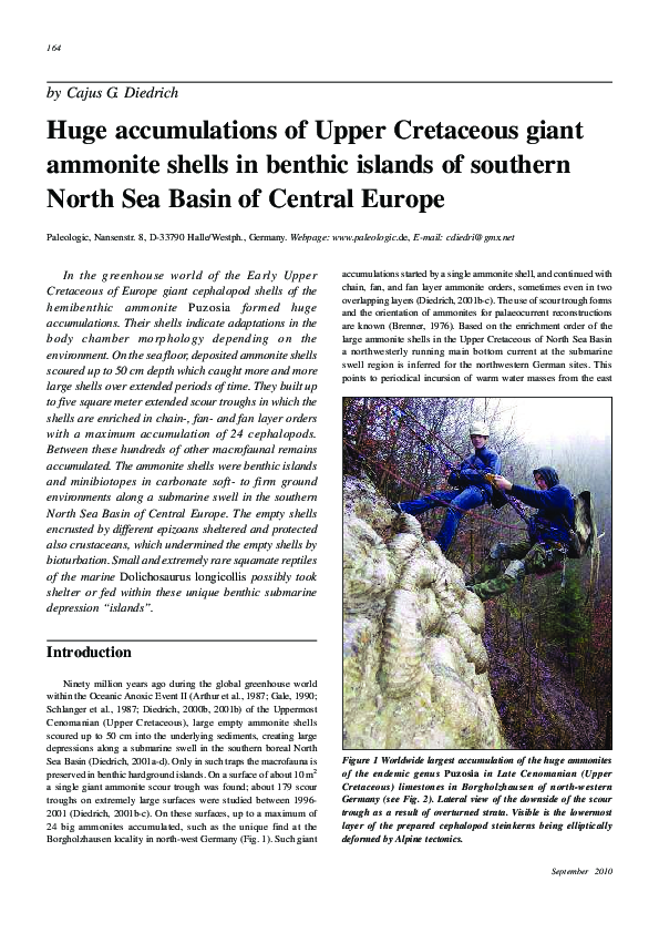 (PDF) Huge accumulations of Upper Cretaceous giant ammonite shells in ...