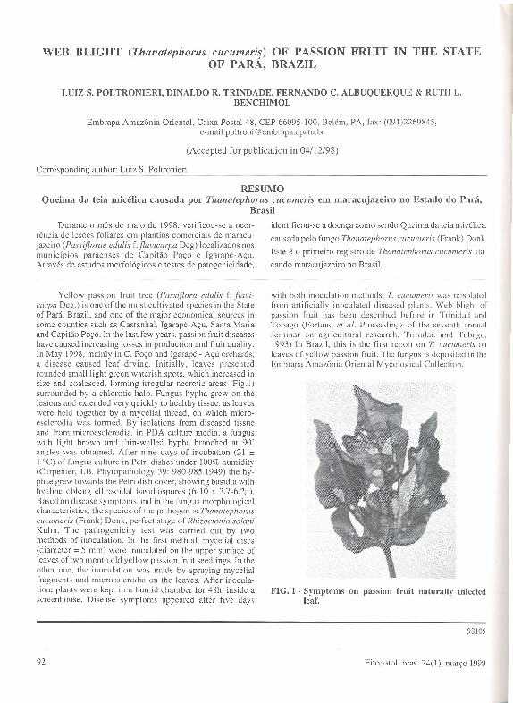 (PDF) Web Blight (Thanatephorus Cucumeris) of Passion Fruit in the ...