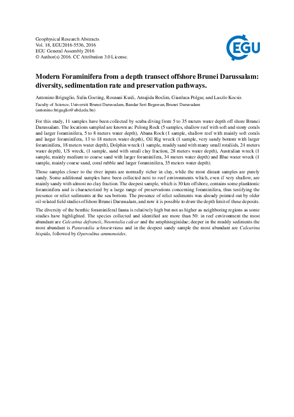 (PDF) Modern Foraminifera from a depth transect offshore Brunei ...