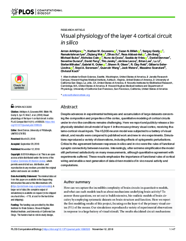 (PDF) Visual physiology of the layer 4 cortical circuit in silico
