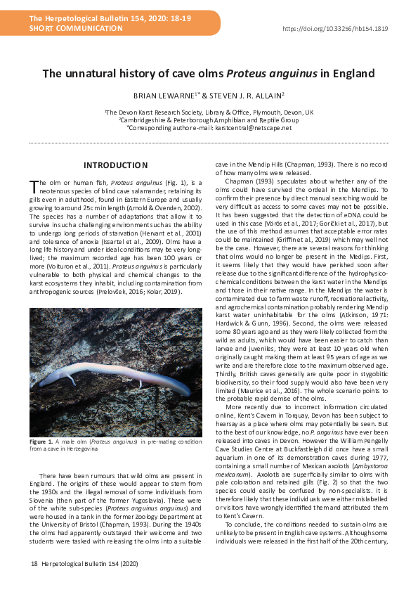 (PDF) The unnatural history of cave olms Proteus anguinus in England