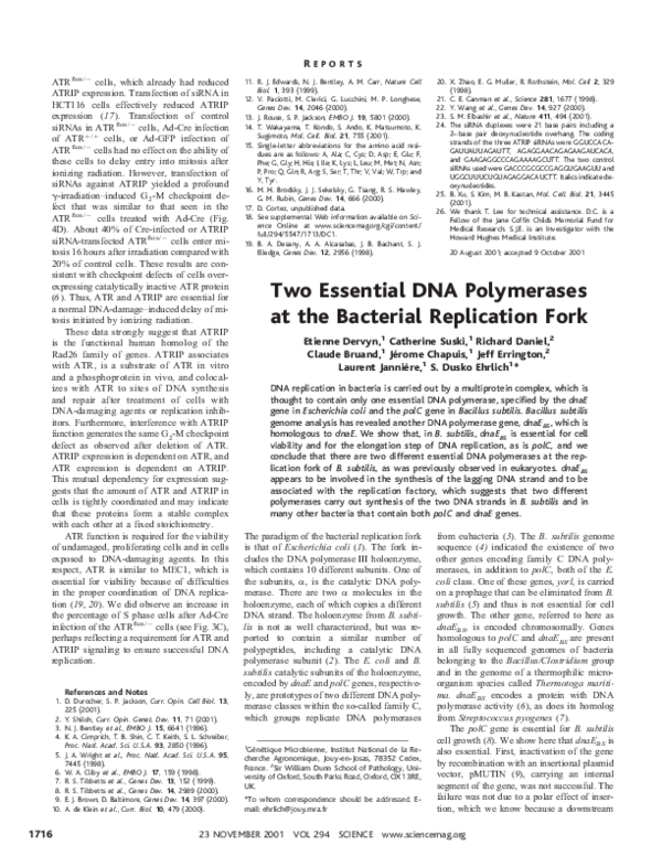 (PDF) Two Essential DNA Polymerases at the Bacterial Replication Fork