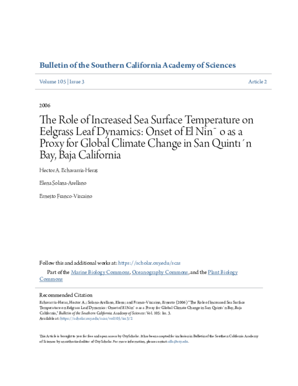 (PDF) The Role of Increased Sea Surface Temperature on Eelgrass Leaf ...