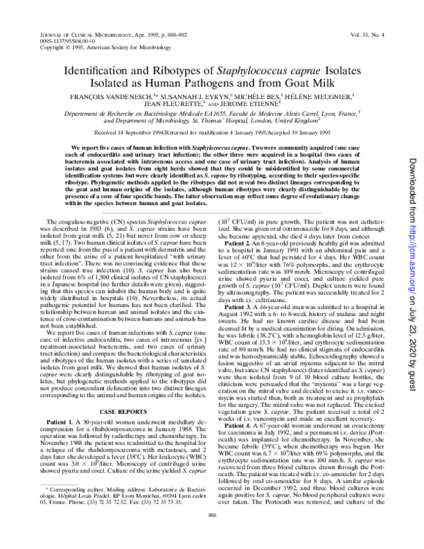 (PDF) Identification and ribotypes of Staphylococcus caprae isolates ...