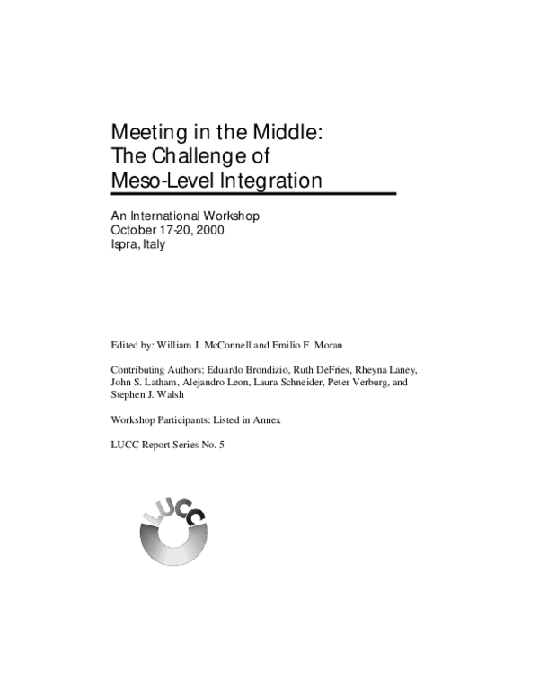 (PDF) Meeting in the middle: the challenge of meso-level integration