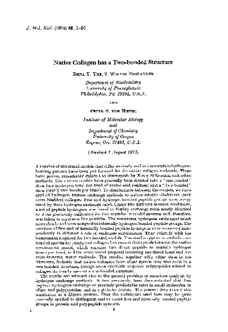 (PDF) Native collagen has a two-bonded structure