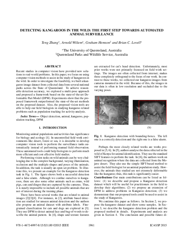 (PDF) Detecting kangaroos in the wild: the first step towards automated animal surveillance