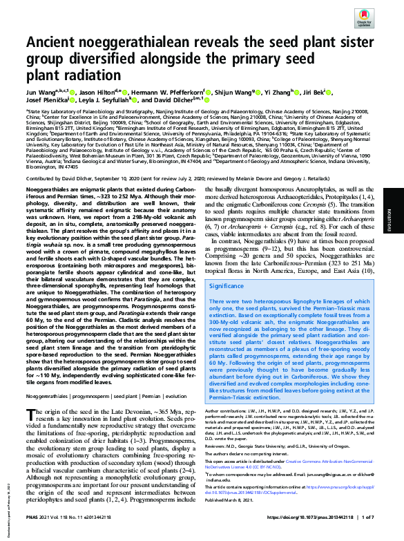 (PDF) Ancient noeggerathialean reveals the seed plant sister group ...