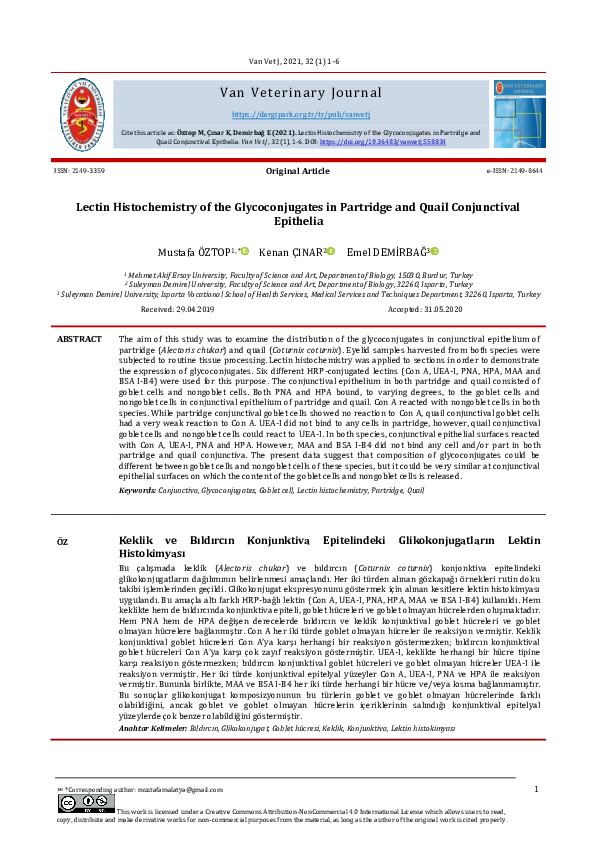 (PDF) Lectin Histochemistry of the Glycoconjugates in Partridge and ...