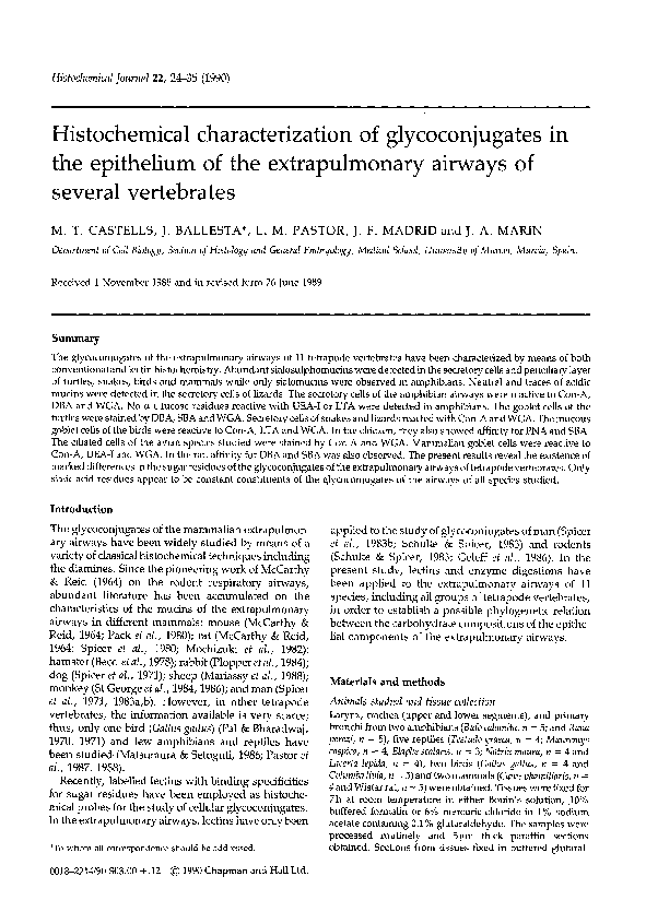 Histochemical characterization of glycoconjugates in the epithelium of ...