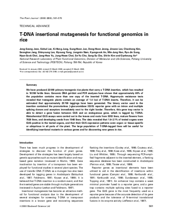 (PDF) T‐DNA insertional mutagenesis for functional genomics in rice
