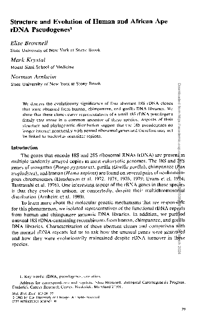 (PDF) Structure and evolution of human and African ape rDNA pseudogenes