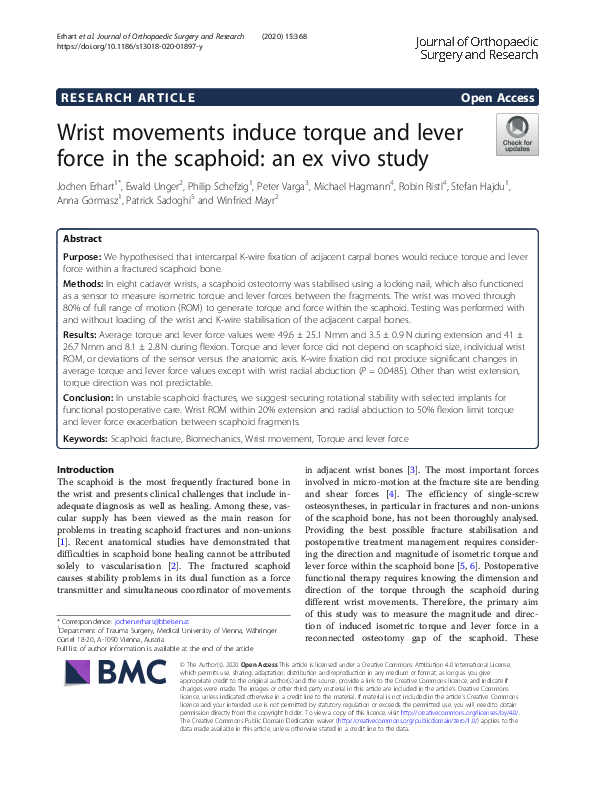 (PDF) Wrist movements induce torque and lever force in the scaphoid: an ...