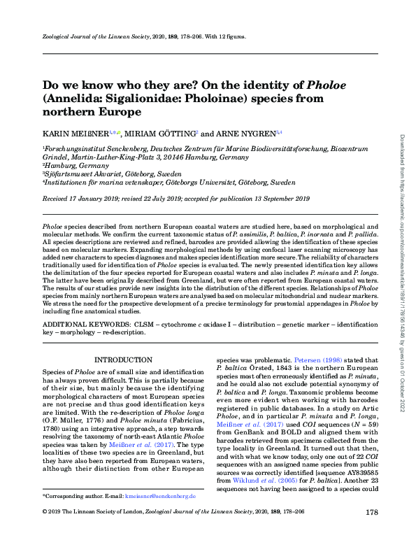 (PDF) Do we know who they are? On the identity of Pholoe (Annelida ...