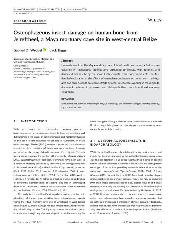 (PDF) Osteophageous Insect Damage on Human Bone from Je'reftheel, a ...