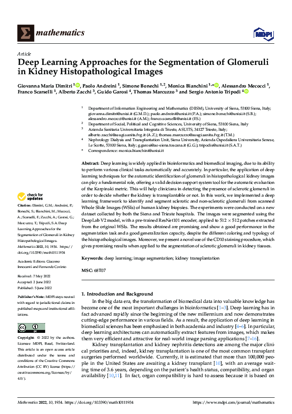 (PDF) Deep Learning Approaches for the Segmentation of Glomeruli in Kidney Histopathological ...