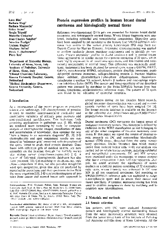 (PDF) Protein expression profiles in human breast ductal carcinoma and ...