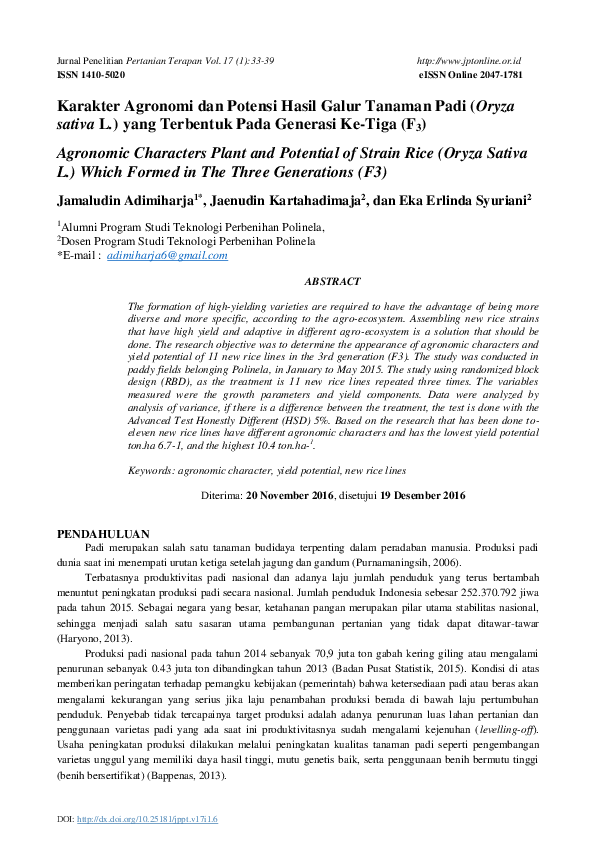 (PDF) Agronomic Characters Plant and Potential of Strain Rice (Oryza ...