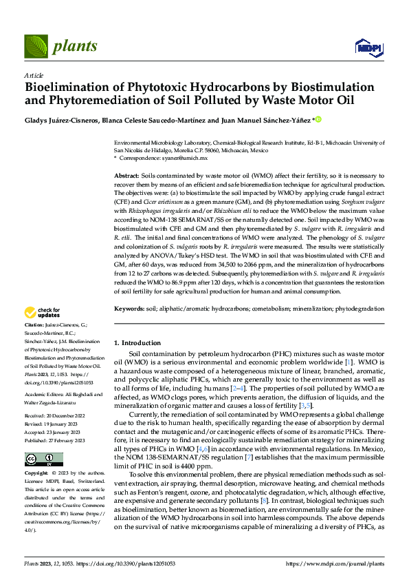 (PDF) Bioelimination of Phytotoxic Hydrocarbons by Biostimulation and ...