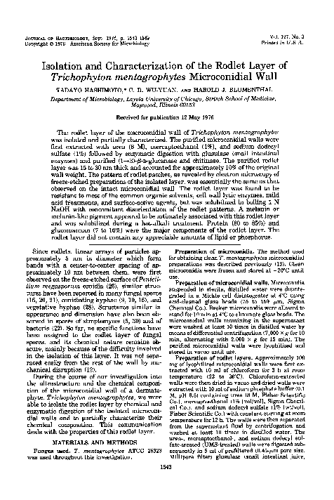 (PDF) Isolation and characterization of the rodlet layer of ...