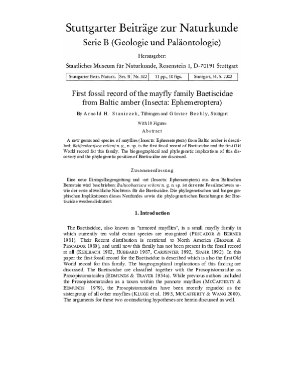 (PDF) First fossil record of the mayfly family Baetiscidae from Baltic ...