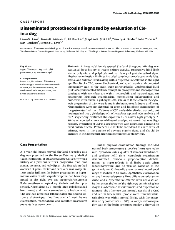 (PDF) Disseminated protothecosis diagnosed by evaluation of CSF in a dog