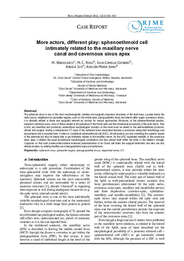 (PDF) More actors, different play: sphenoethmoid cell intimately ...