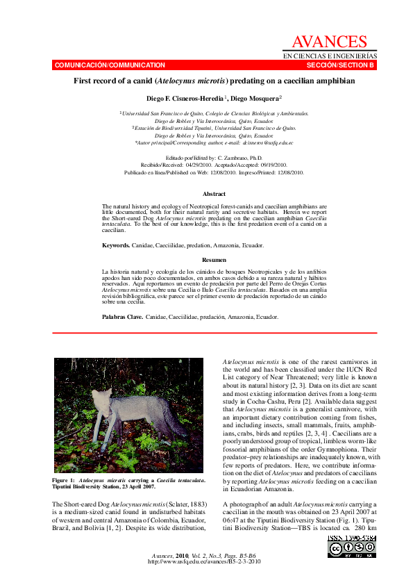 (PDF) First record of a canid (Atelocynus microtis) predating on a ...