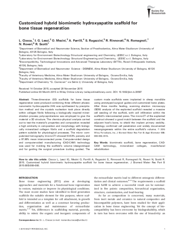 (PDF) Customized hybrid biomimetic hydroxyapatite scaffold for bone tissue regeneration