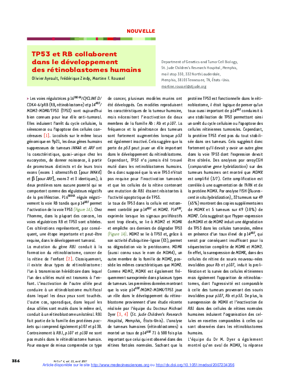 (PDF) TP53 et RB collaborent dans le développement des rétinoblastomes ...