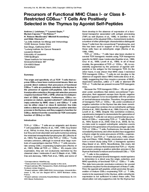 (PDF) Precursors of Functional MHC Class I- or Class II-Restricted ...