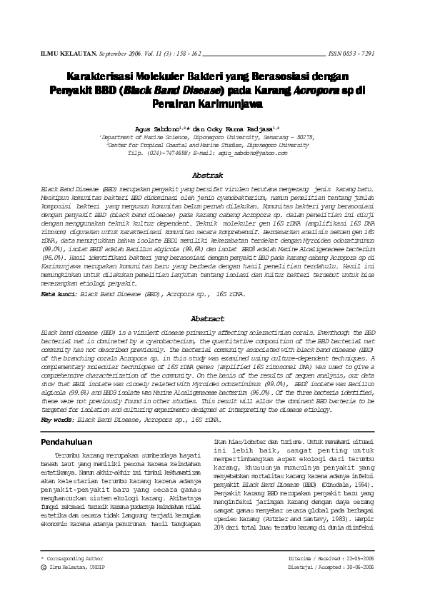 (PDF) Karakterisasi Molekuler Bakteri yang Berasosiasi dengan Penyakit ...