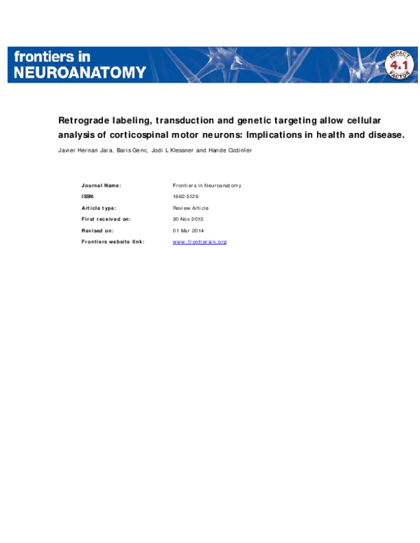 (PDF) Retrograde labeling, transduction, and genetic targeting allow ...